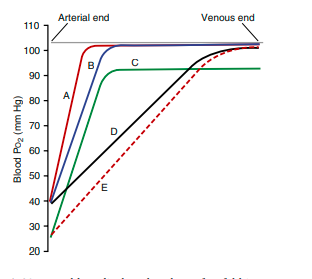 (Solved) - The figure above shows two lung units (S and T) with their ...