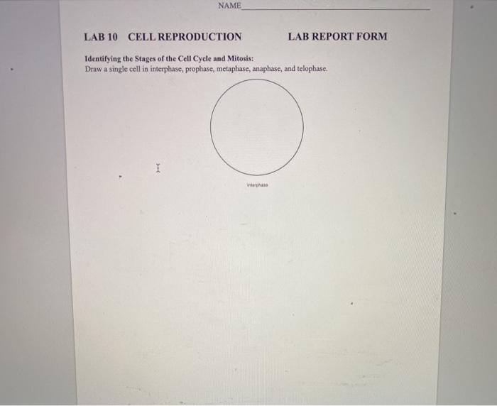 (Solved) - NAME LAB 10 CELL REPRODUCTION LAB REPORT FORM Identifying ...