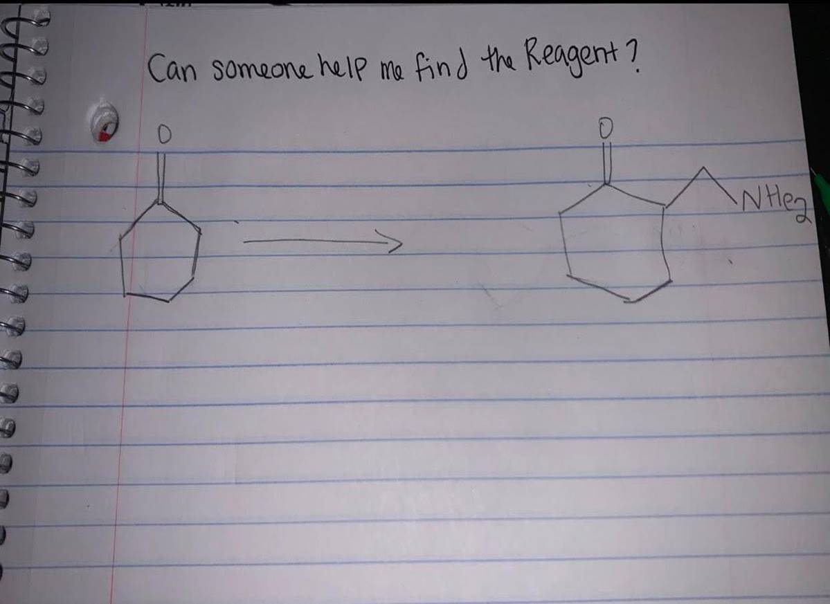(Solved) - Can Someone Help Me Find The Reagent? 'N Heg. Can Someone ...