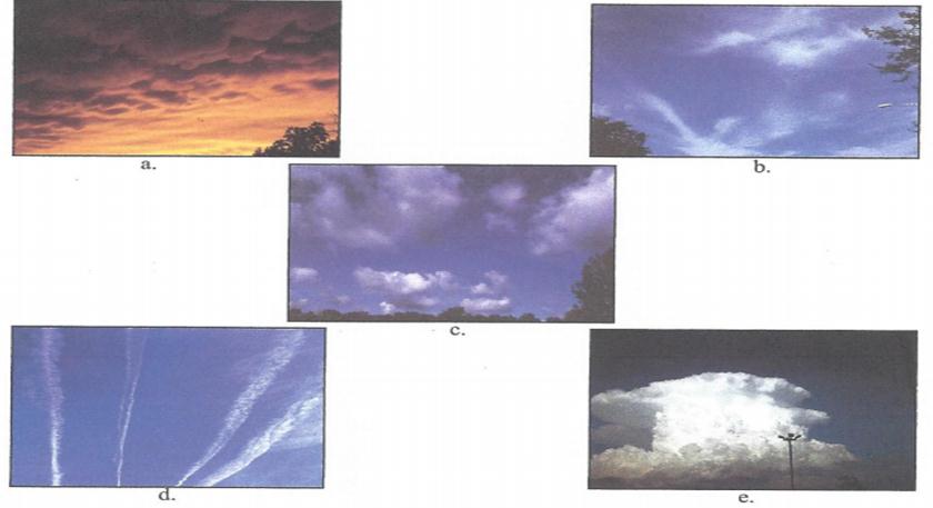 (Solved) - Match the cloud types listed below to the corresponding ...