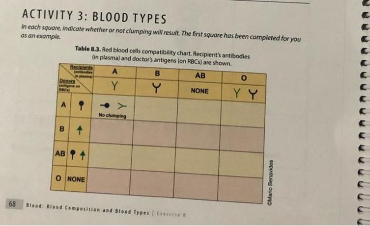 (Solved) - ACTIVITY 3: BLOOD TYPES In Each Square, Indicate. ACTIVITY ...