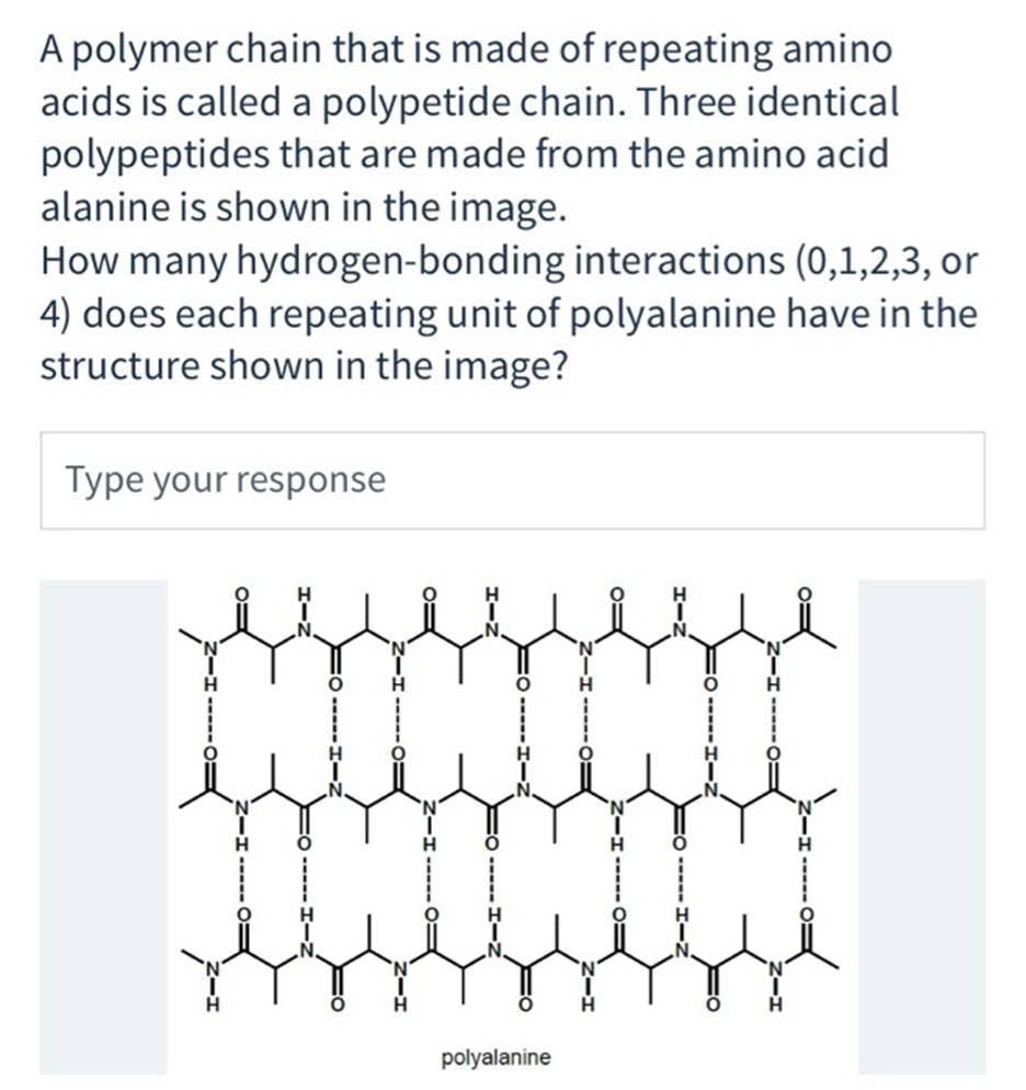 (Solved) - A polymer chain that is made of repeating amino acids is ...