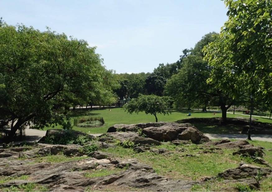 (Solved) - Include a picture of the outcropped rocks..... Include a ...