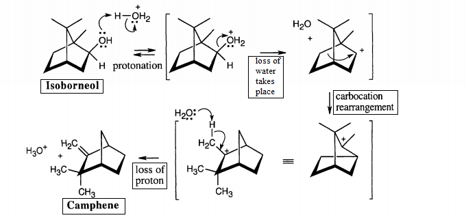 (Solved) - Isoborneol (Problem 27.37) is converted into camphene on ...