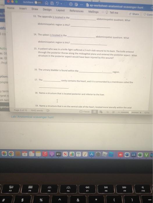 get-answer-home-invent-draw-design-layout-ap-worksheet-anatomical