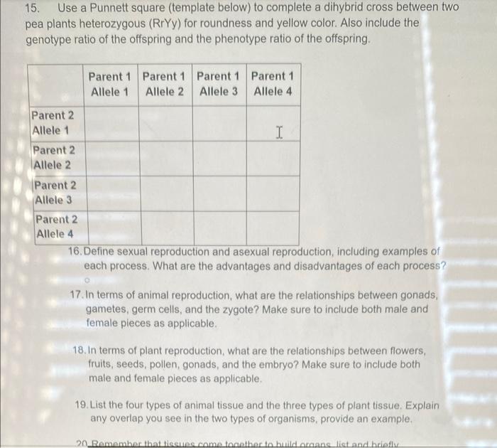 (Solved) - Use A Punnett Square (Template Below) To Complete A Dihybrid ...