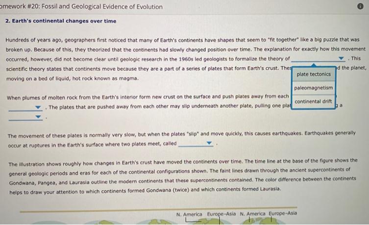(Solved) - Omework #20: Fossil And Geological Evidence Of Evolution 2 ...