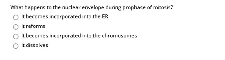(Solved) - What Happens To The Nuclear Envelope During Prophase Of ...