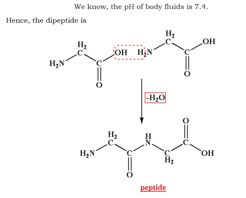 (Solved) - Draw the dipeptide that results when a peptide bond is ...