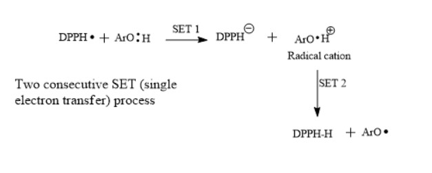 (Solved) - 1. Write the reaction mechanism of DPPH (HAT and SET... (1 ...