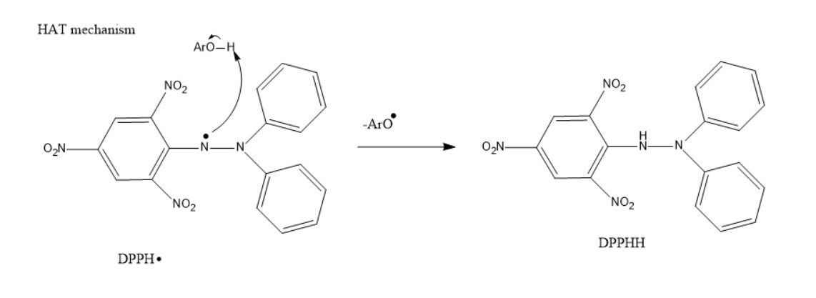 (Solved) - 1. Write the reaction mechanism of DPPH (HAT and SET... (1 ...