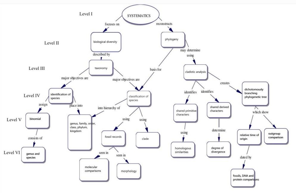 (Solved) - Concept Map: Complete the attached Systematics Concept Map ...